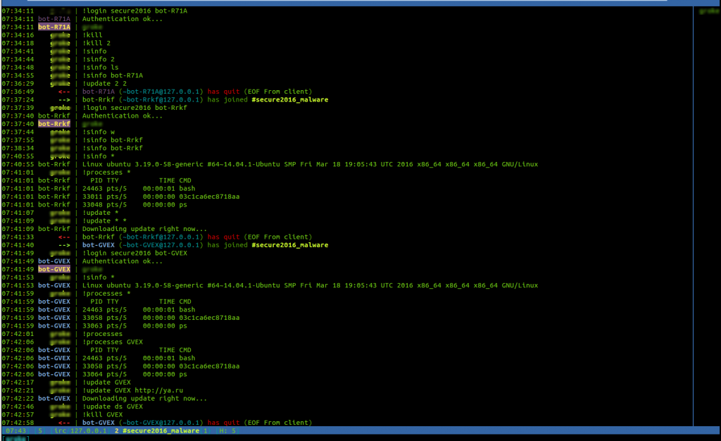 Malware Against the C Monoculture - Check Point Research